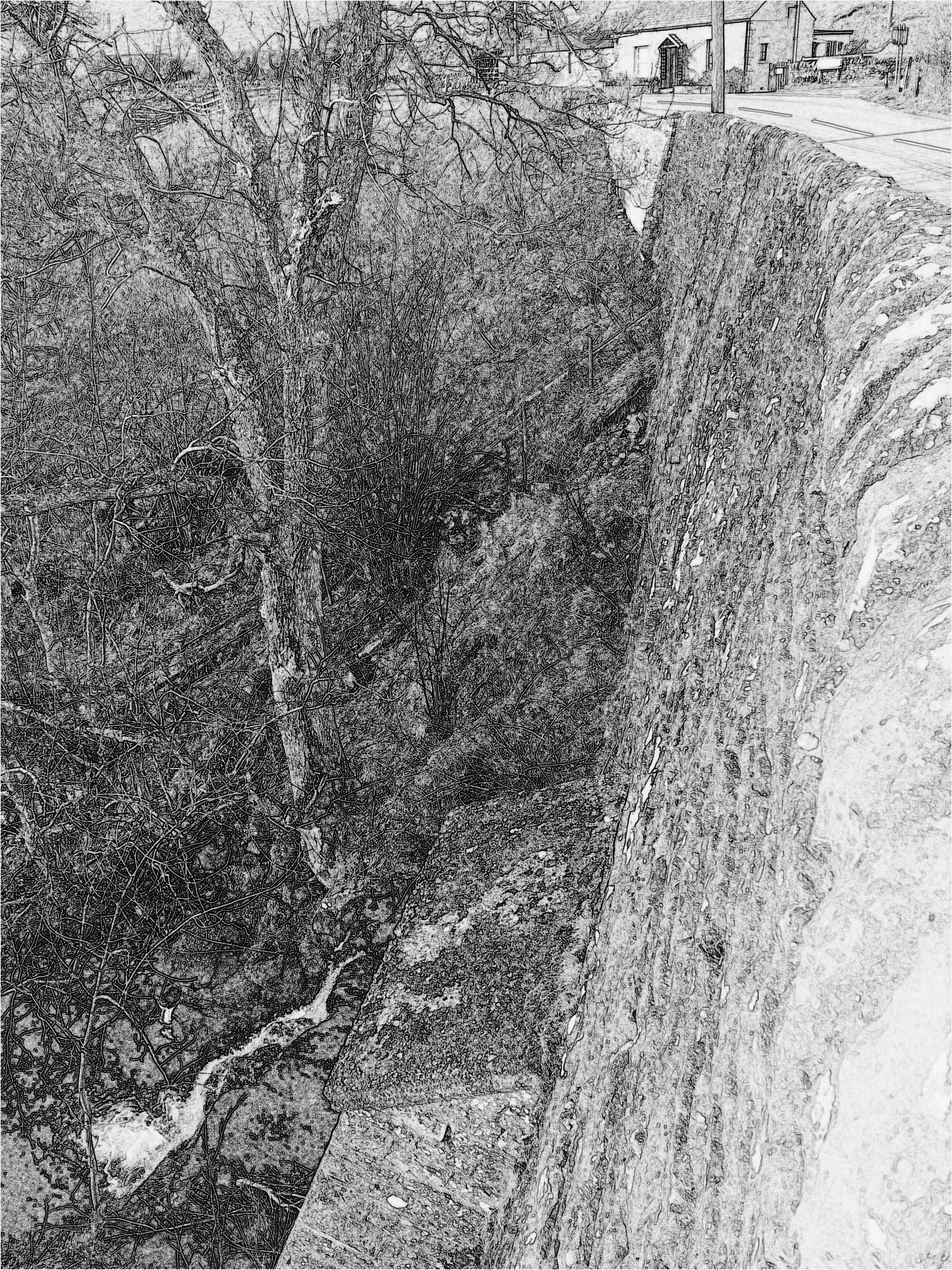 Like a bridge – Allendale Diary