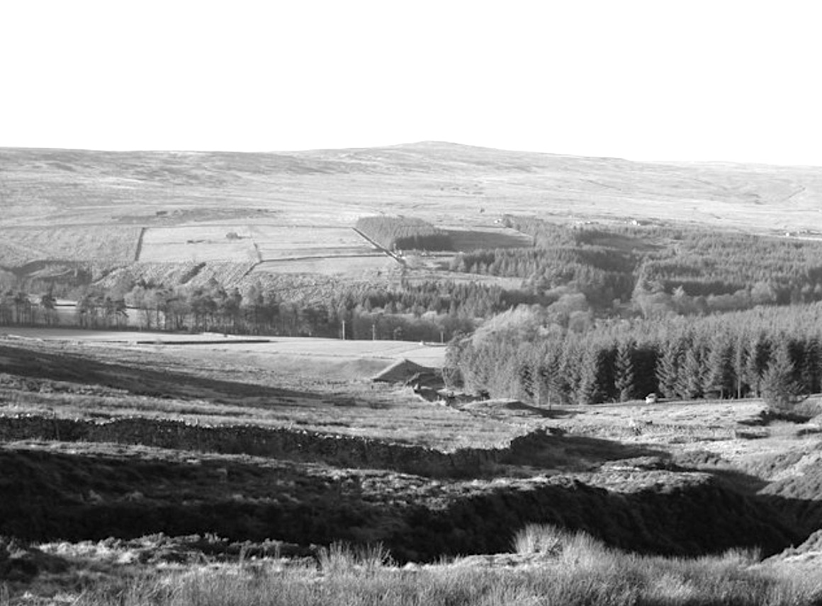 Surprising Allenheads – Allendale Diary