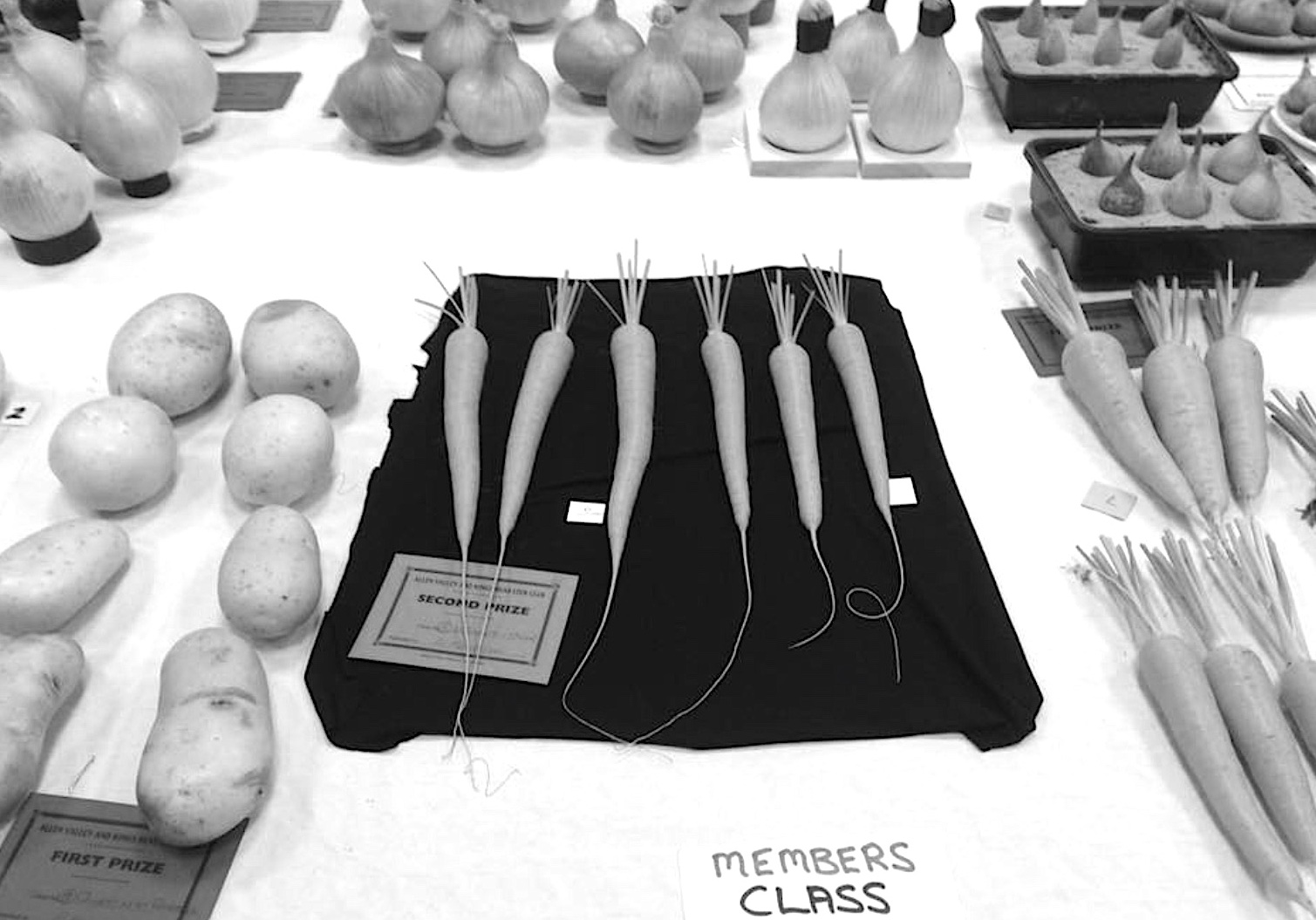 Rounding out the season . . . The Allen Valley & King’s Head Leek Club ...